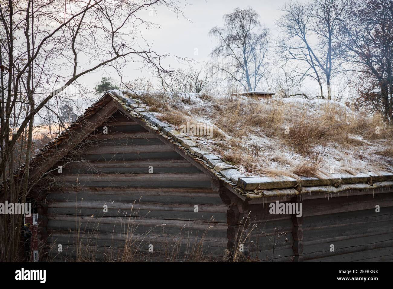 Bark Timber Frame Cabin