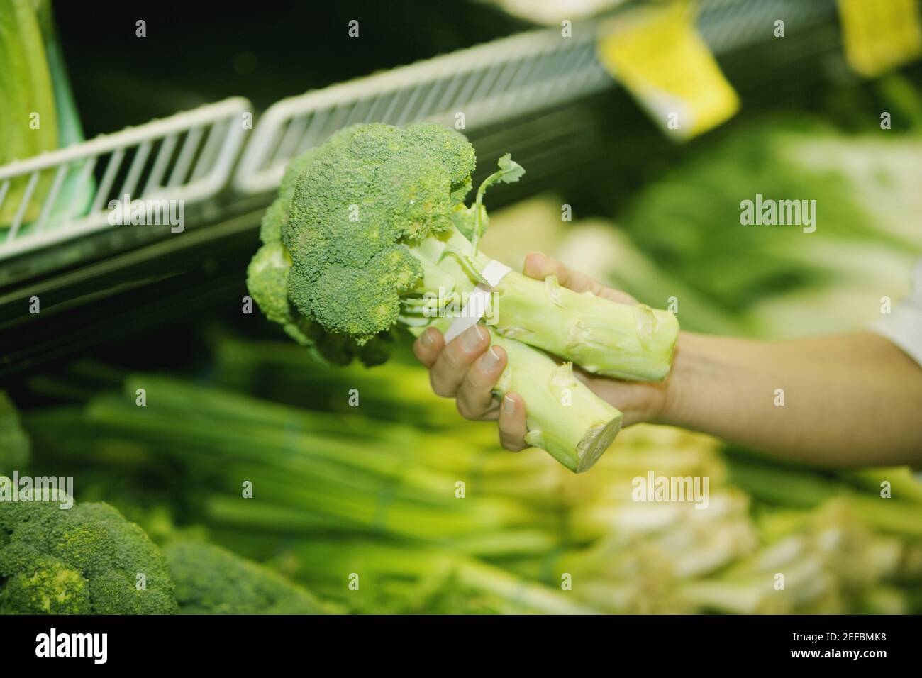 Hand with broccoli hi-res stock photography and images - Alamy