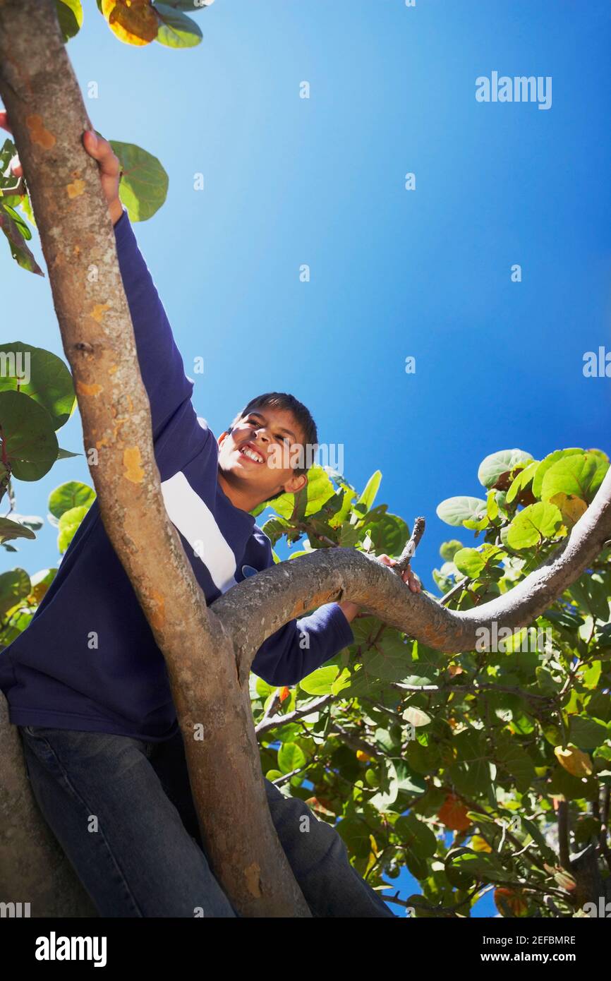 Teenage boy and climbing hi-res stock photography and images - Alamy