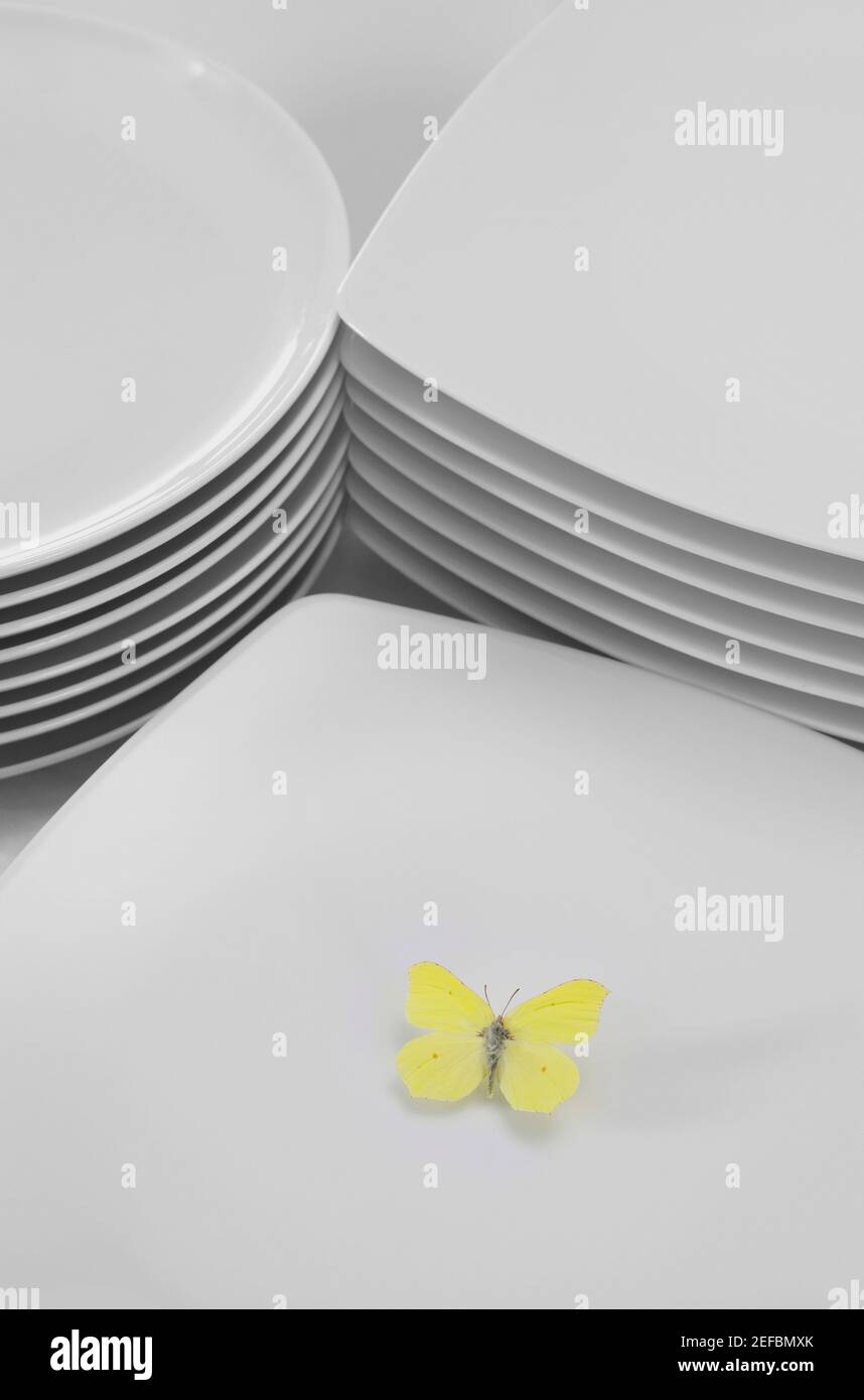 Flying plate and object hi-res stock photography and images - Alamy