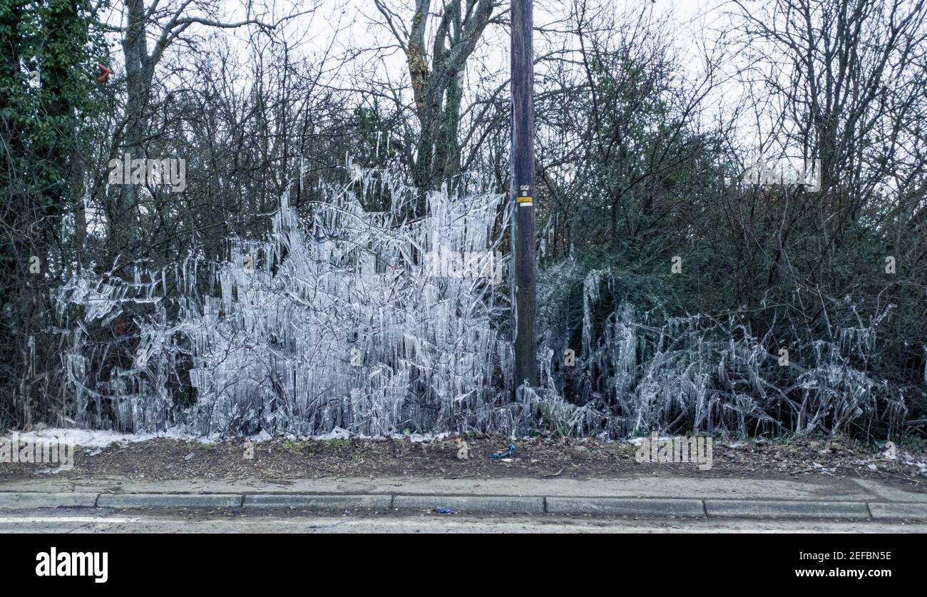 Ice covered bush on side of road Stock Photo - Alamy