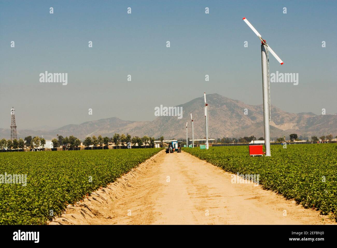Path running through a farm Stock Photo - Alamy