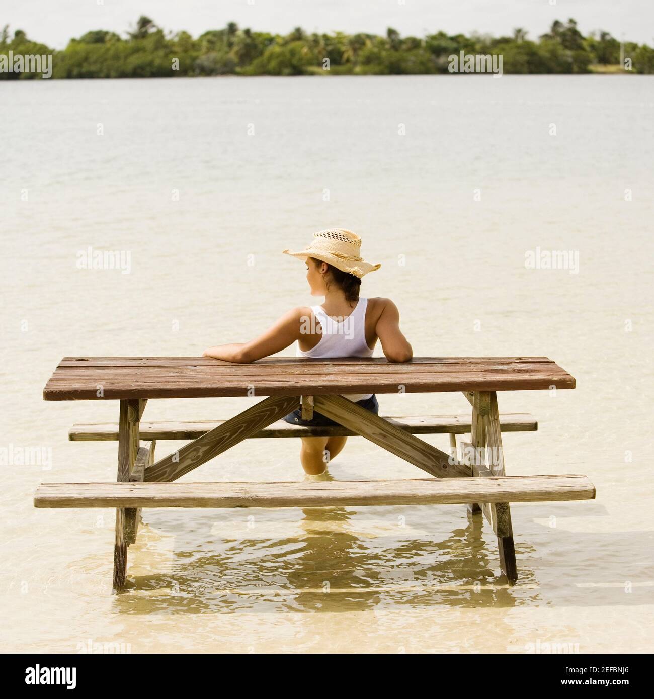 Rear view of a teenage girl sitting on a bench at a lakeside Stock ...