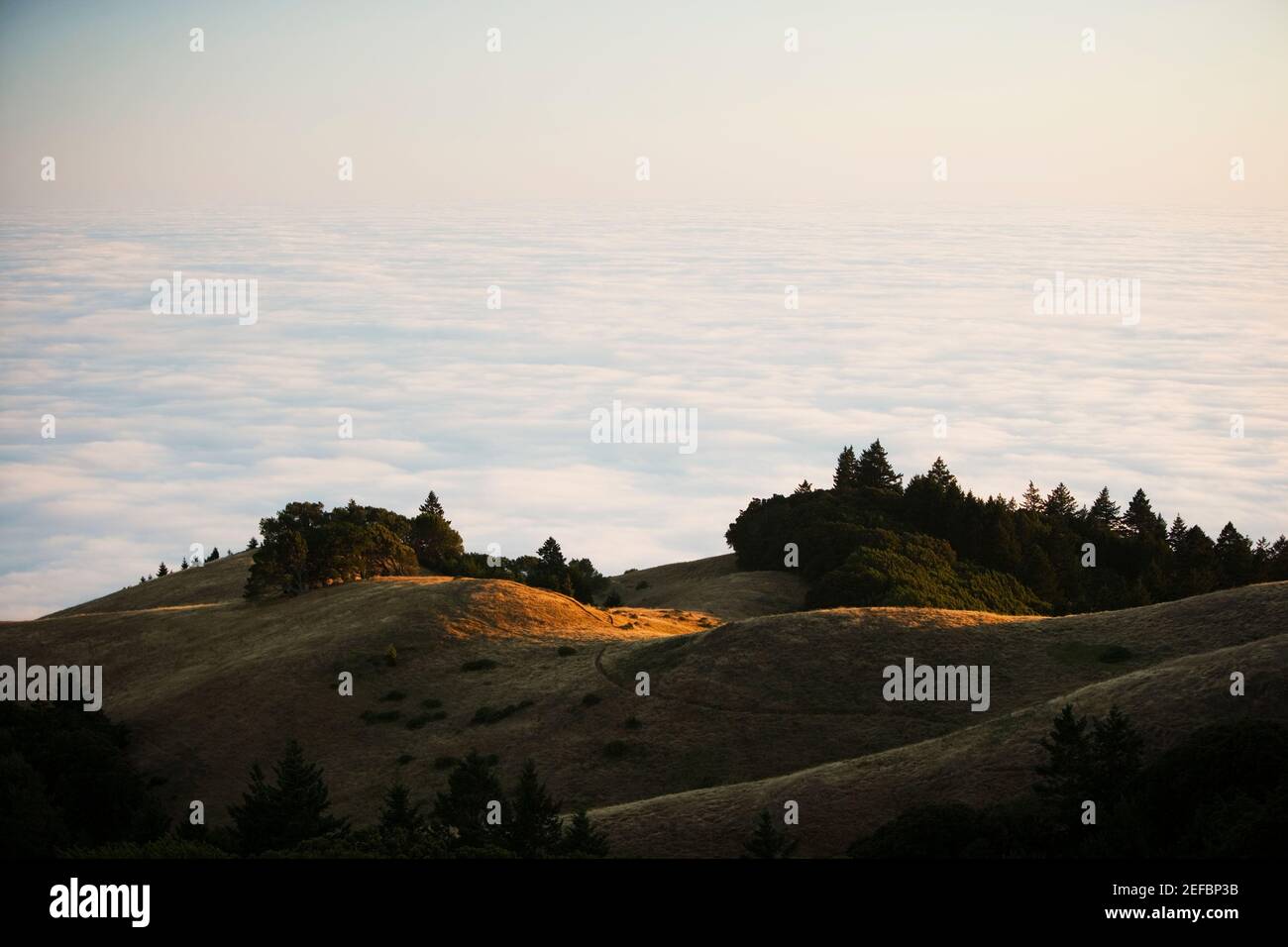 Mount tamalpais united states of america hi-res stock photography and ...