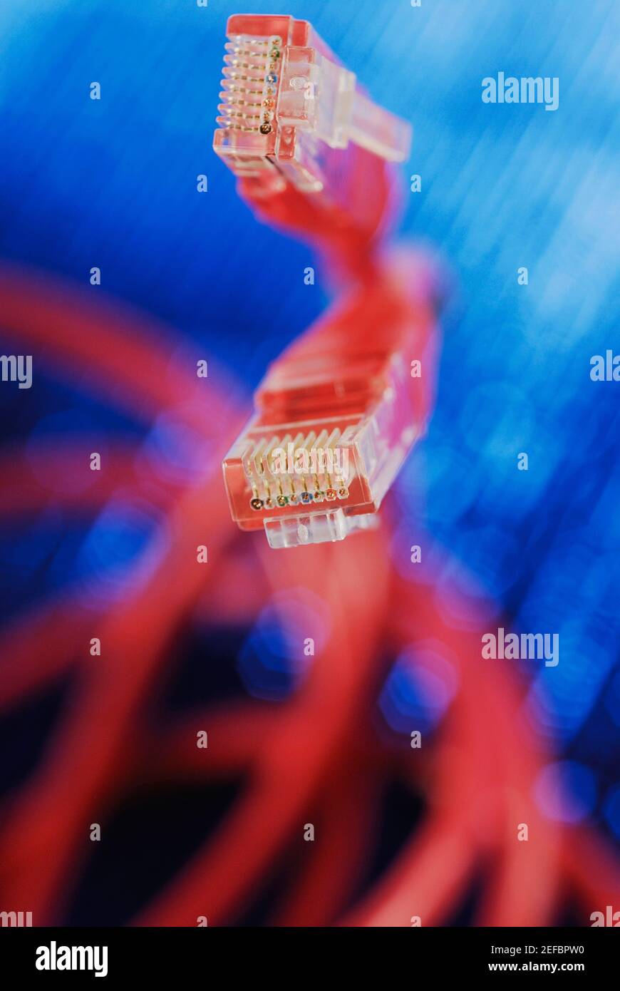 Network connection plugs hi-res stock photography and images - Alamy