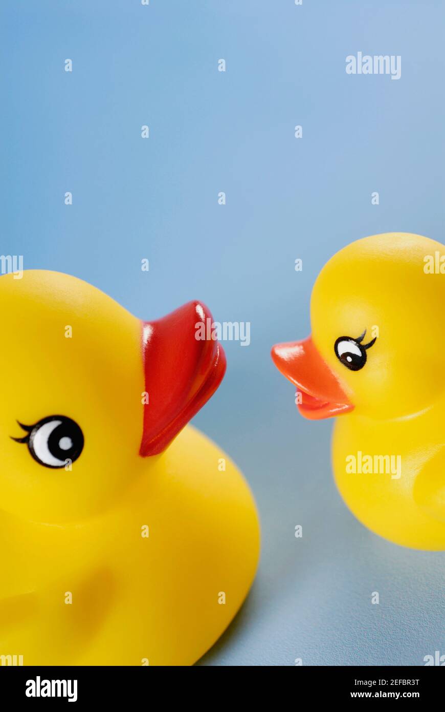 Rubber duck from above hi-res stock photography and images - Alamy