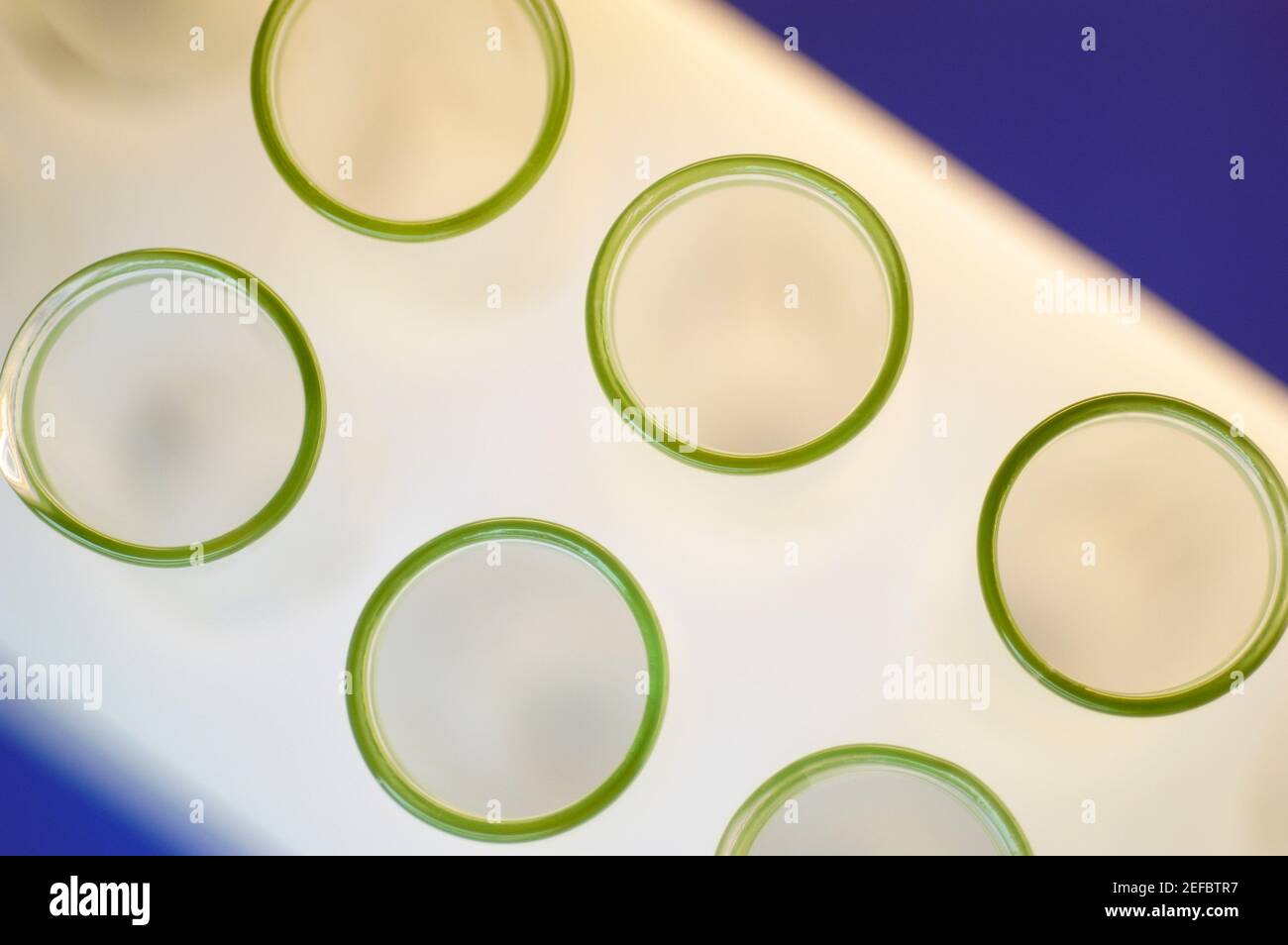 High angle view of a test tubes in a test tube rack Stock Photo - Alamy