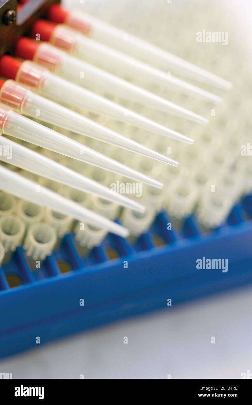 High angle view of vials in a rack Stock Photo - Alamy