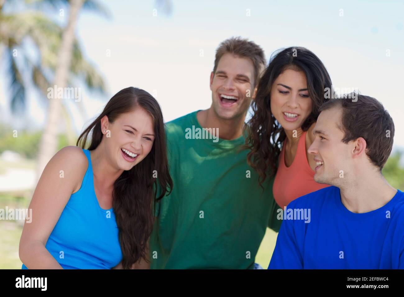 Top view four closed hi-res stock photography and images - Alamy