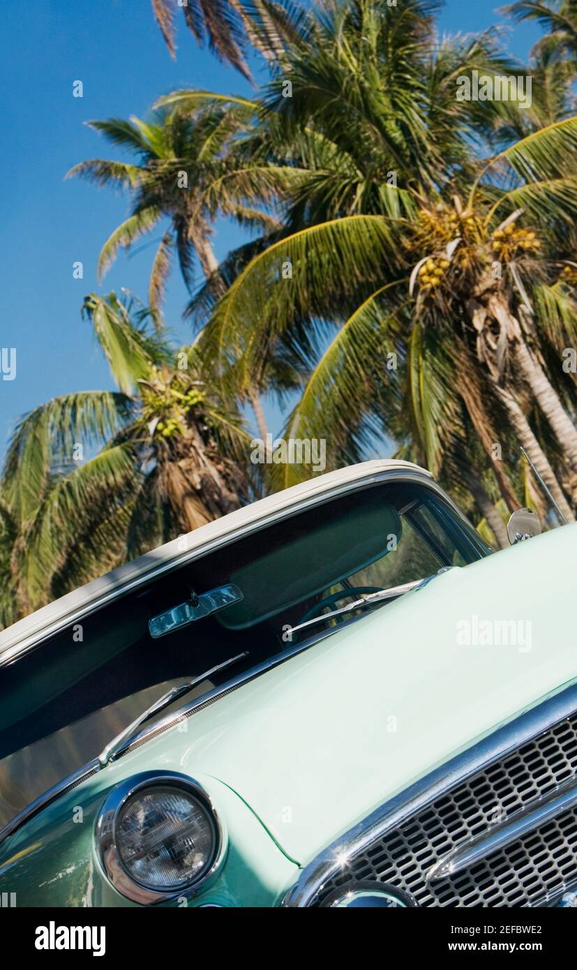 Parked car in trees hi-res stock photography and images - Alamy