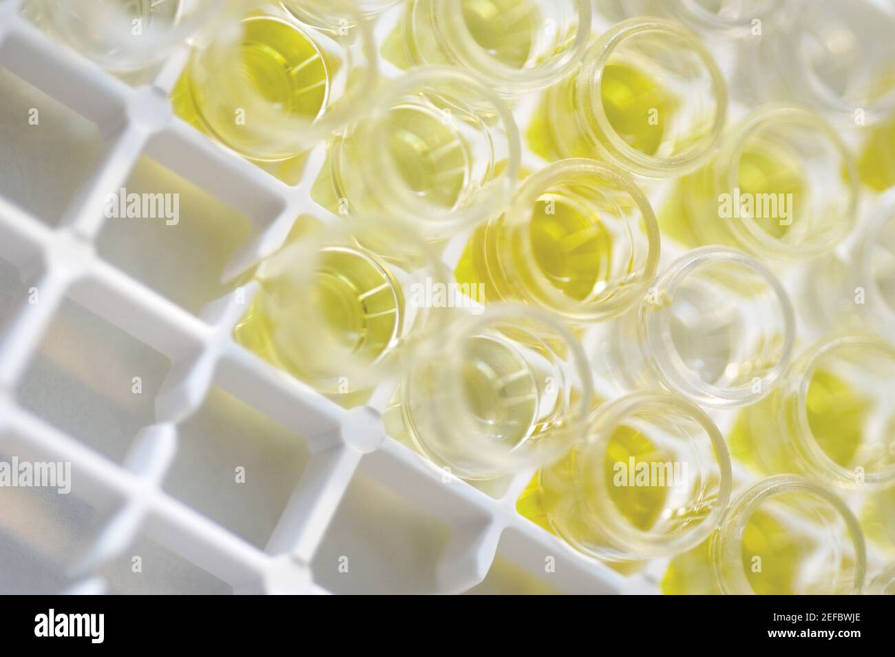 High angle view of test tubes in a rack Stock Photo - Alamy