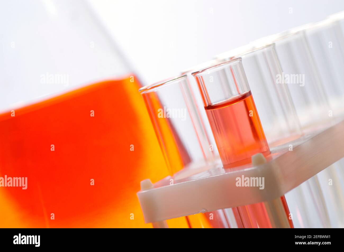 Test tubes in a rack hi-res stock photography and images - Alamy