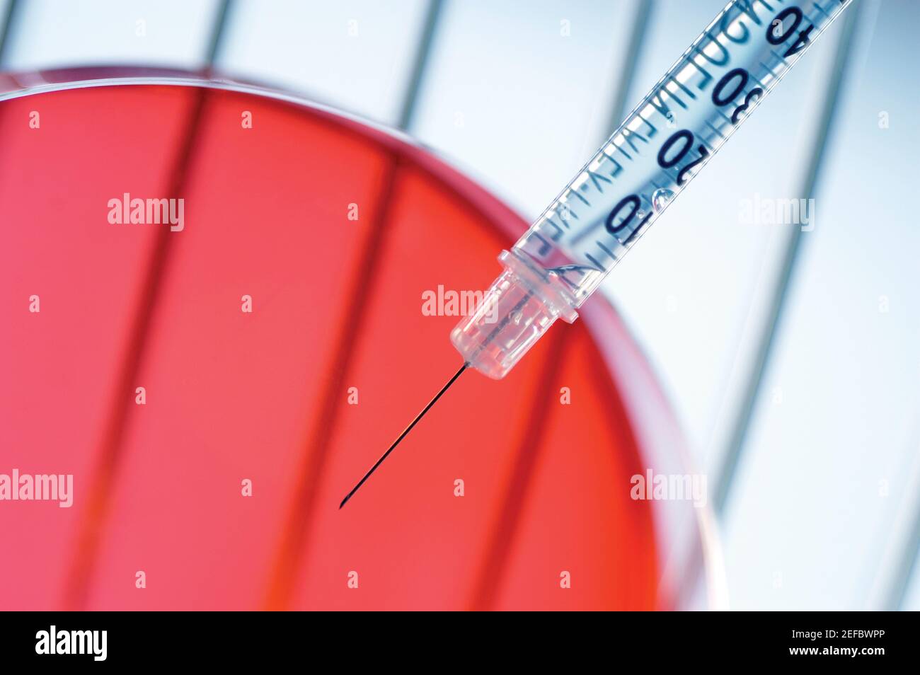 Close-up of a pipette with a needle Stock Photo - Alamy