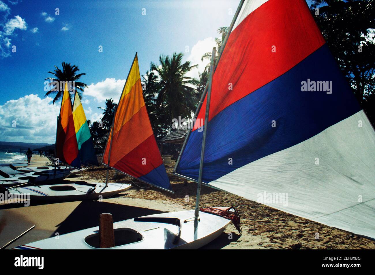 Bright colored sails on windsurf boards in Jamaica Stock Photo - Alamy