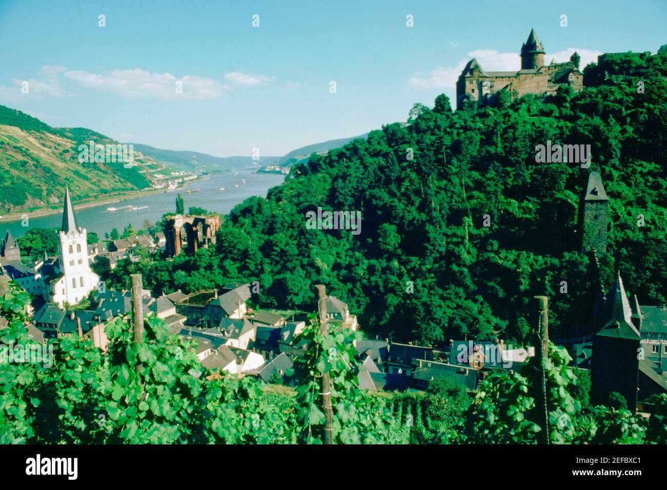 High angle of houses and lush foliage, Bacharach, Rhine River, Germany ...