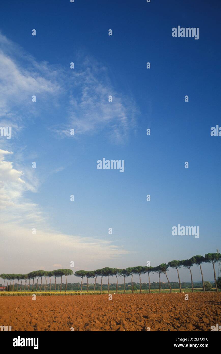 Close-up of a plowed field, Italy Stock Photo - Alamy