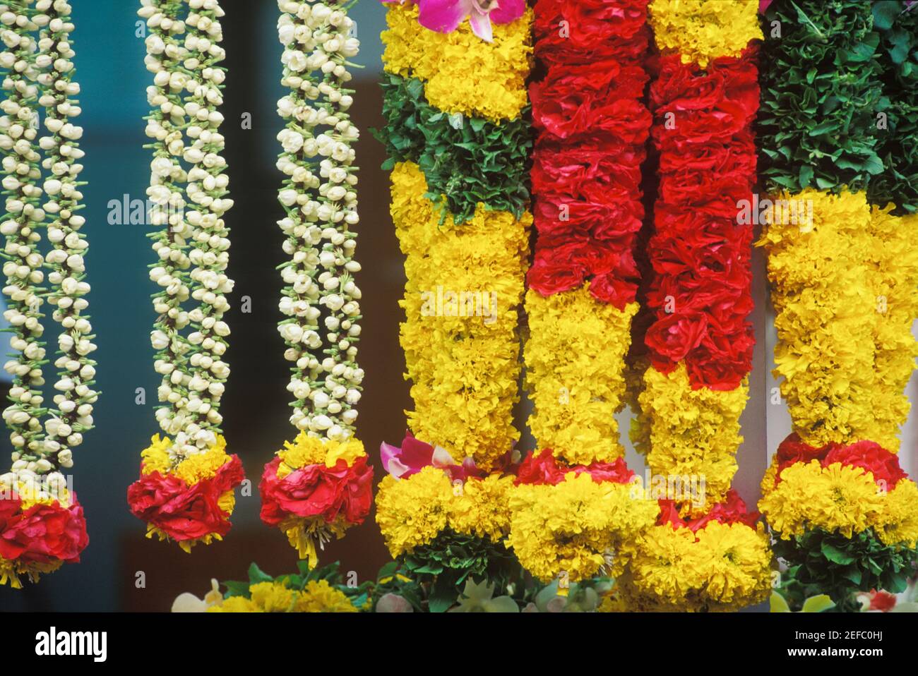 Horizontal close up flower garlands hi-res stock photography and images ...
