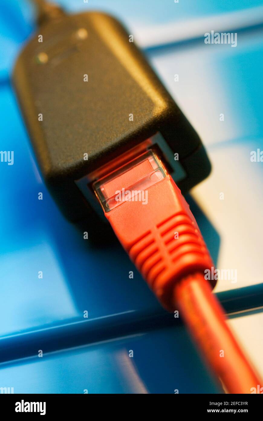 Close-up of a network cable plugged into a socket Stock Photo - Alamy
