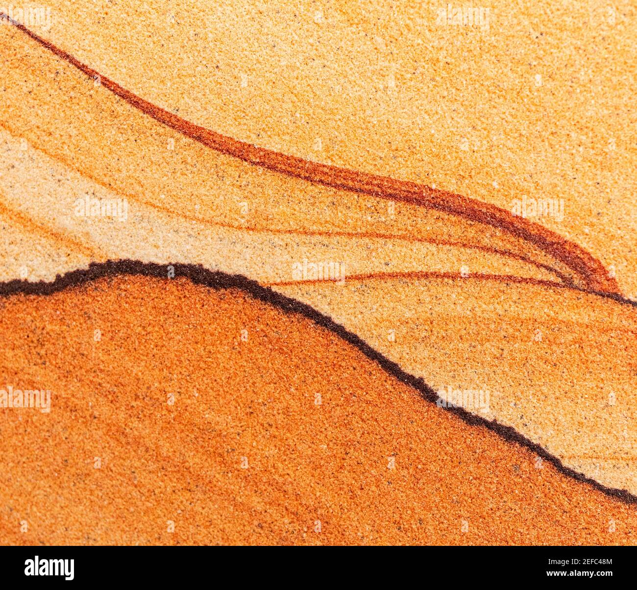 Close-up image of a slab of sandstone showing its layers which produce ...