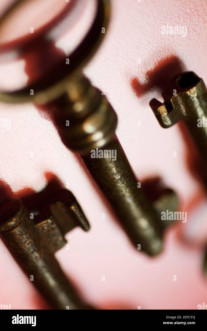 Close up low key shot hi-res stock photography and images - Alamy