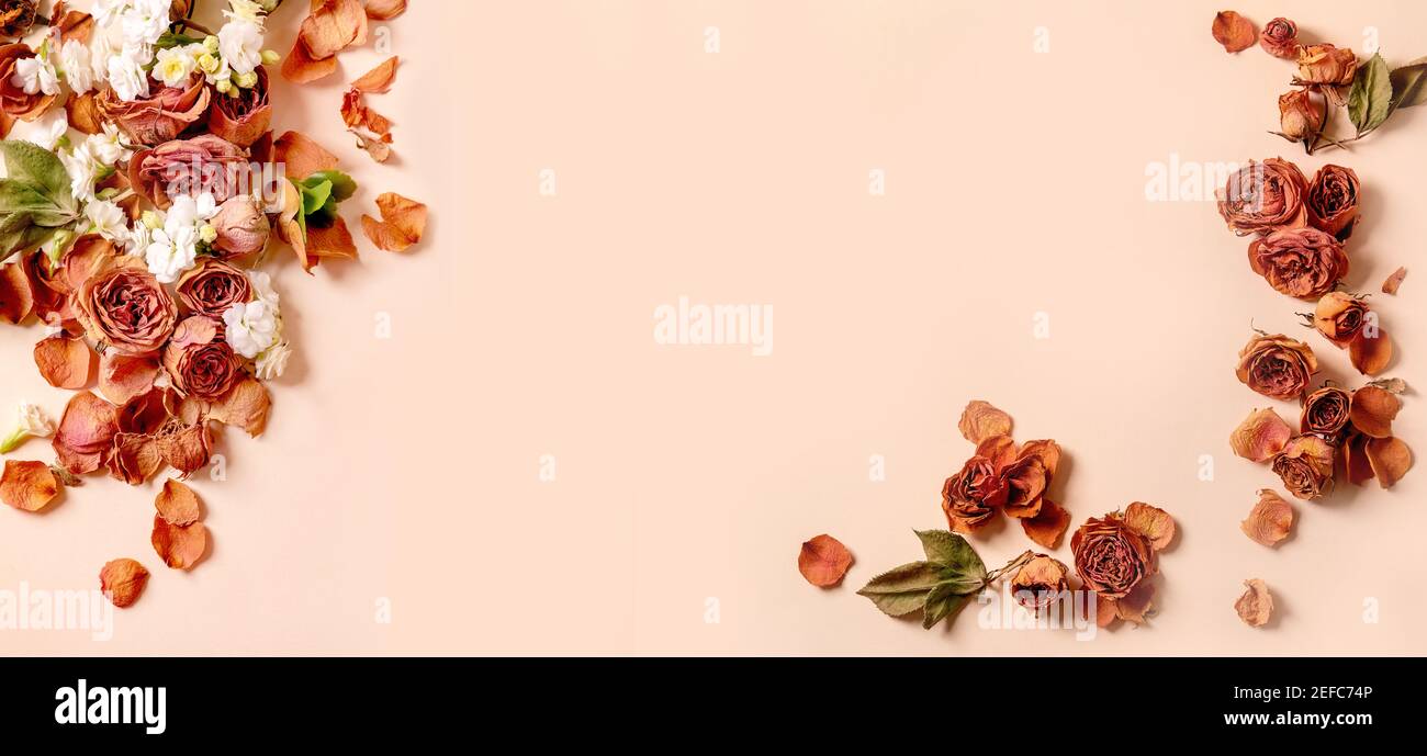 Creative layout with flowers Stock Photo - Alamy