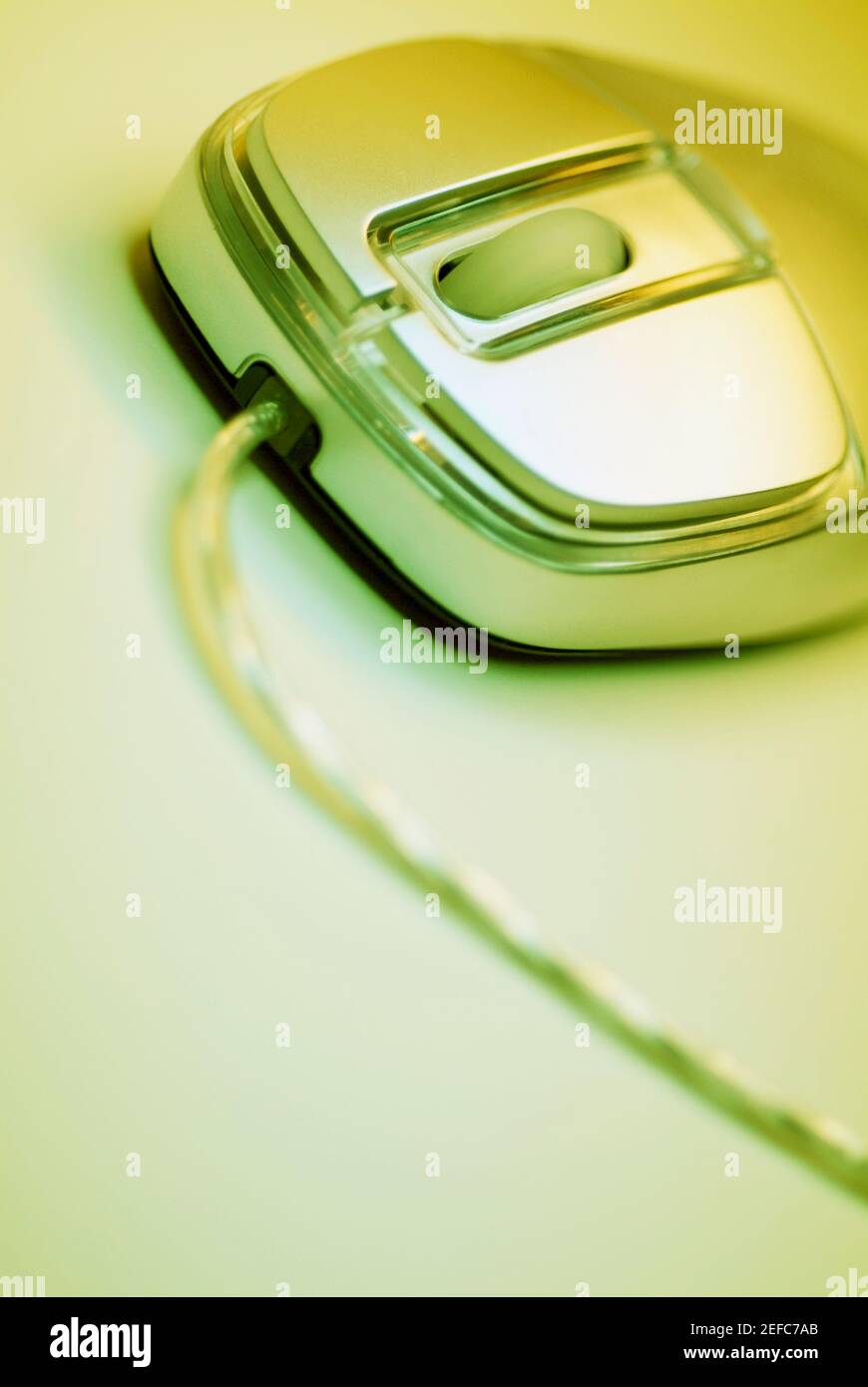 Close up shot mouse hi-res stock photography and images - Alamy