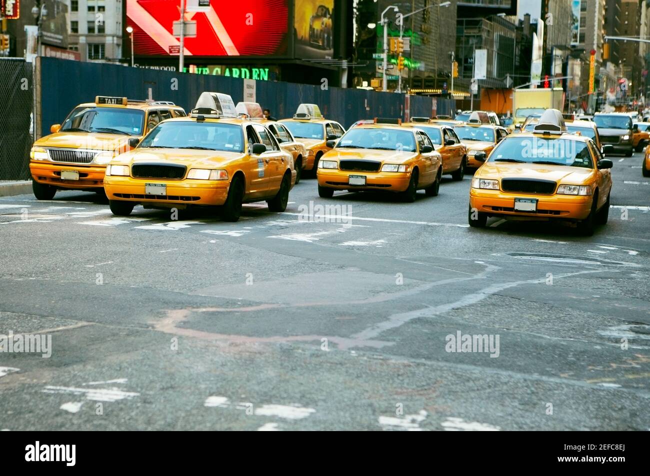 Cars on a road, Times Square, Manhattan, New York City, New York State ...
