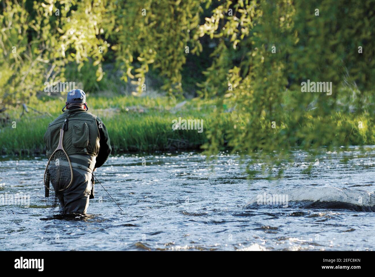 Rear view of a man fishing in the river Stock Photo - Alamy