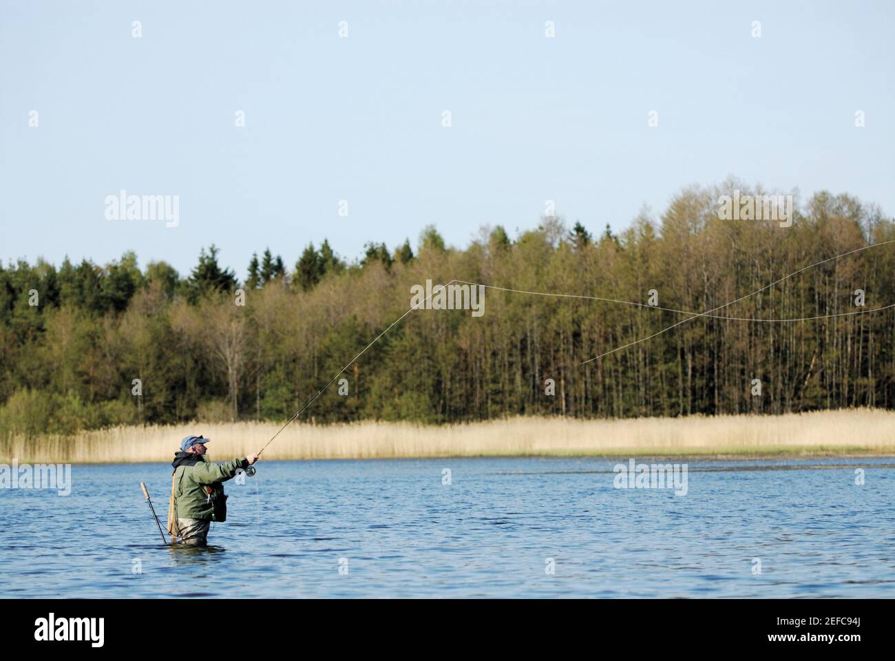 Side profile of a mature man fishing in the river Stock Photo - Alamy