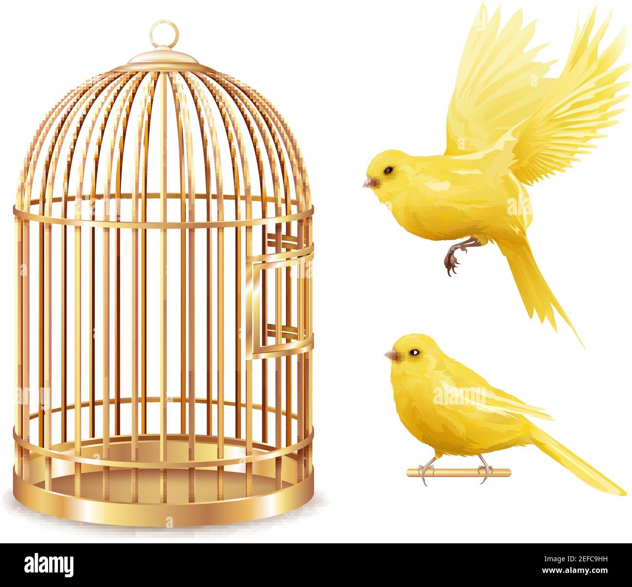Canary birdcage set of isolated empty gold covered cage and realistic ...