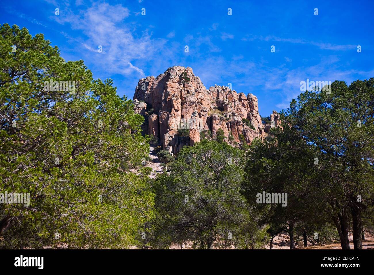 Low angle view of trees in front of rock formations hi-res stock ...
