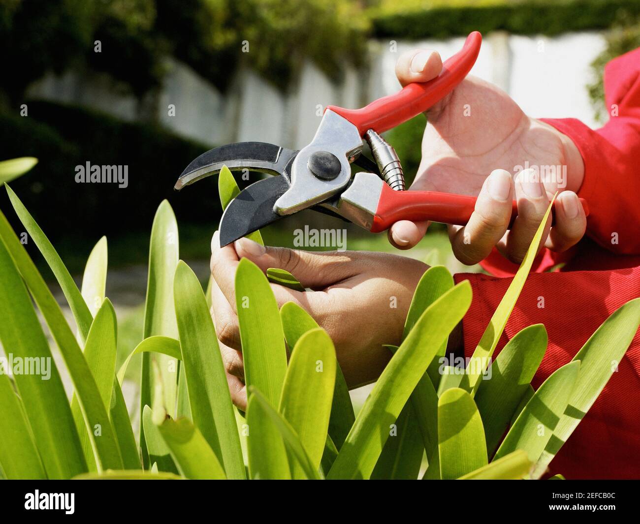 Image human hand cutting hi-res stock photography and images - Alamy