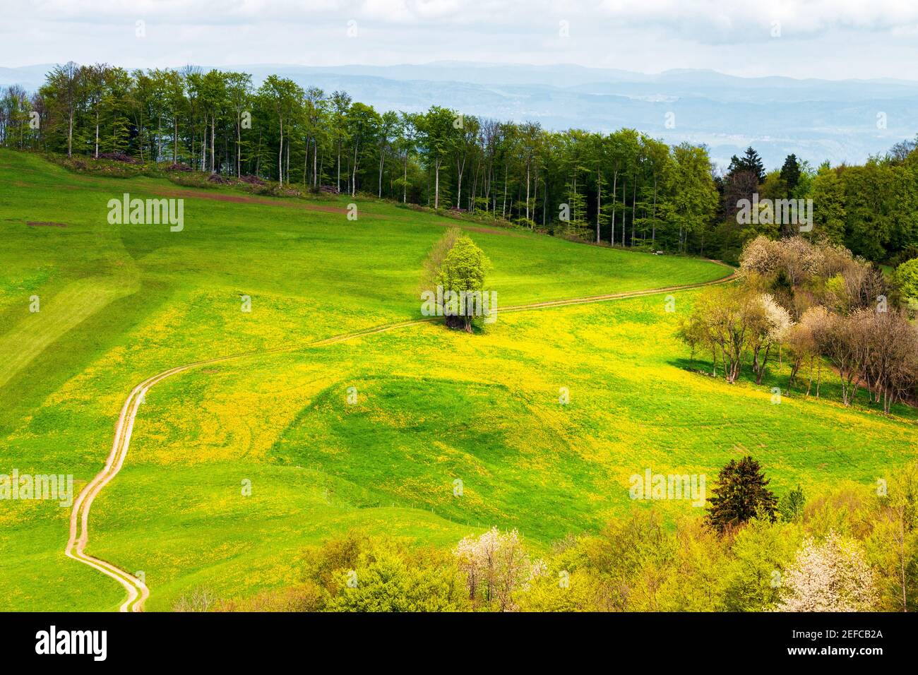 The seasons of the countryside hi-res stock photography and images - Alamy