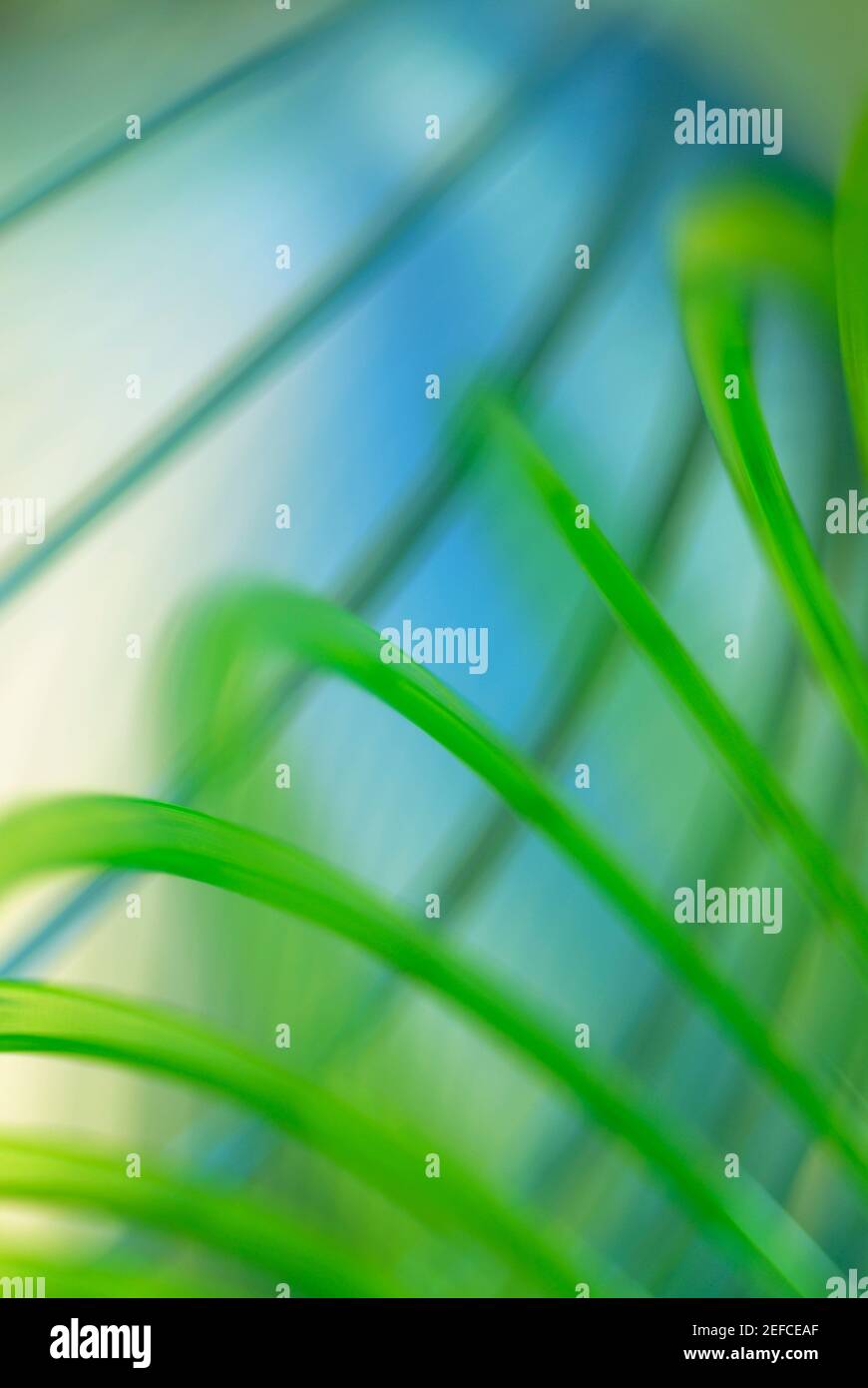 Close up spiral binding hi-res stock photography and images - Alamy