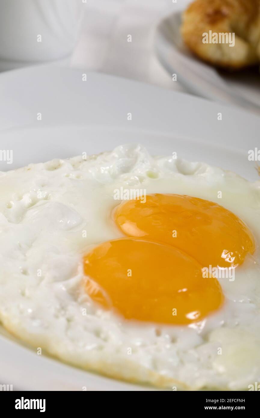 Close-up of fried eggs in a plate Stock Photo - Alamy