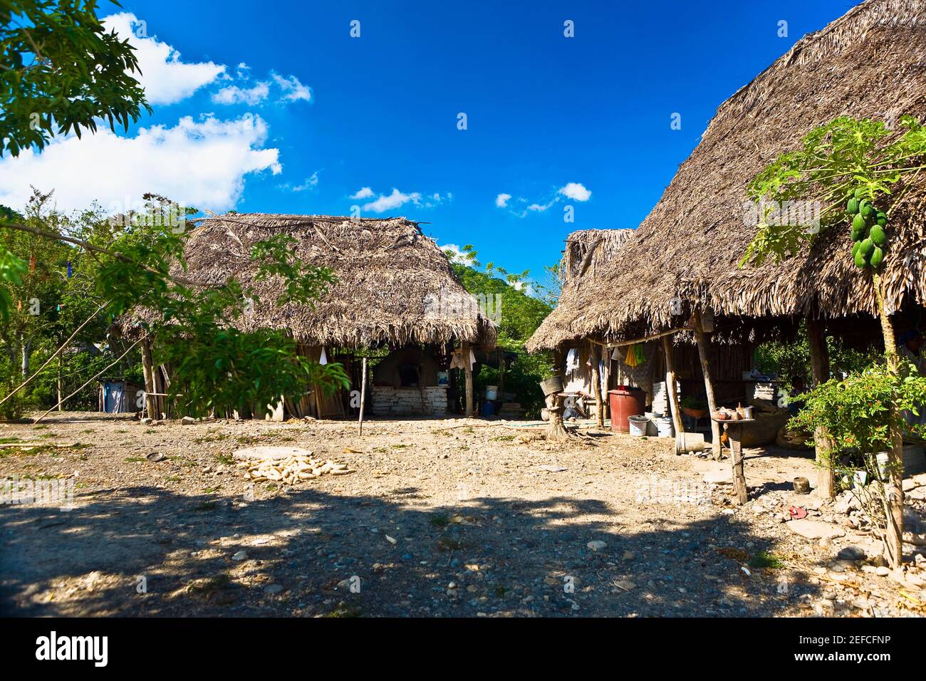 Houses in a village, Hidalgo, Papantla, Veracruz, Mexico Stock Photo ...