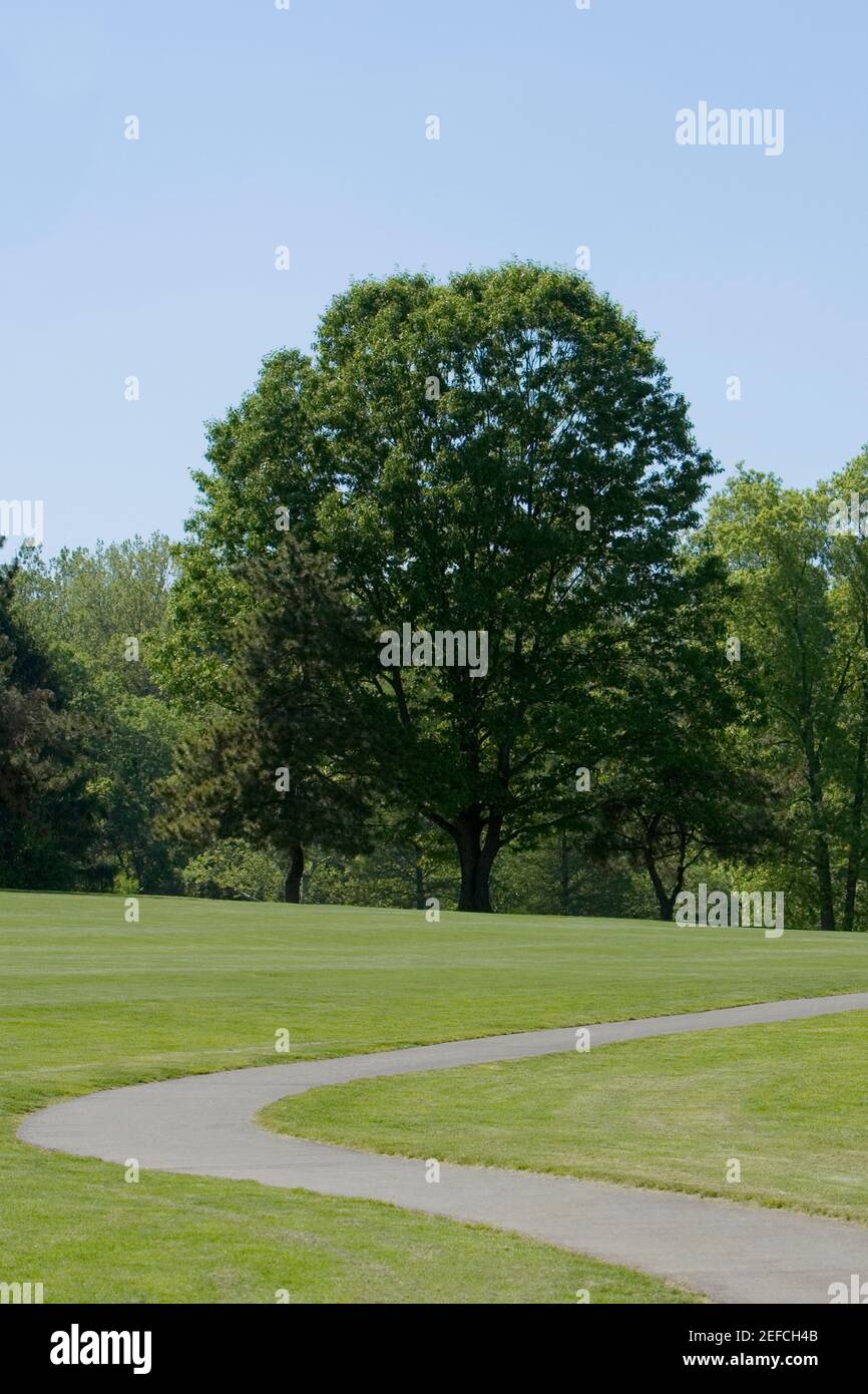 Running The Curve High Resolution Stock Photography and Images - Alamy