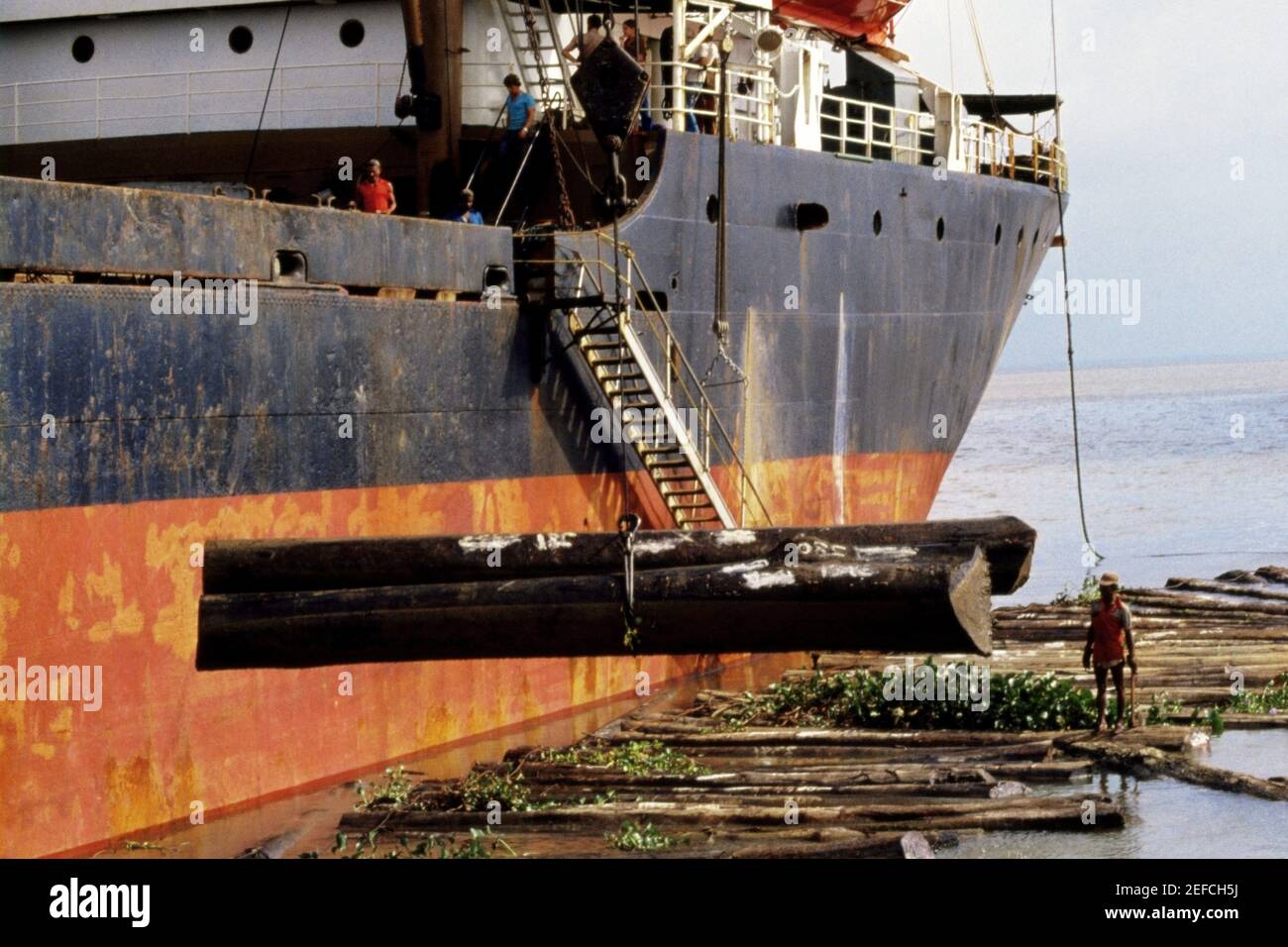 Cargo ship being loaded with logs Stock Photo - Alamy