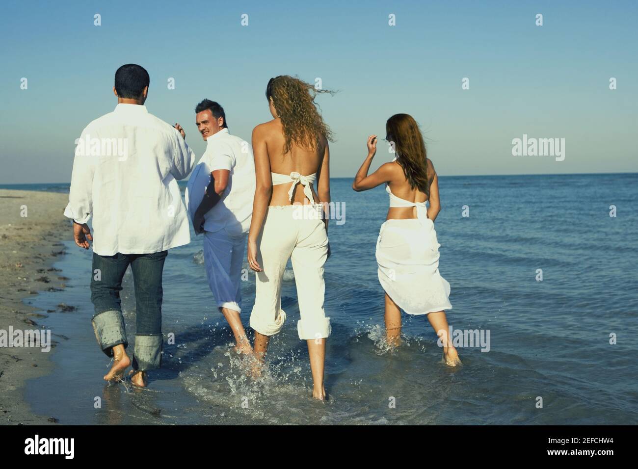 Rear view of two young women and a young man with a mid adult man ...