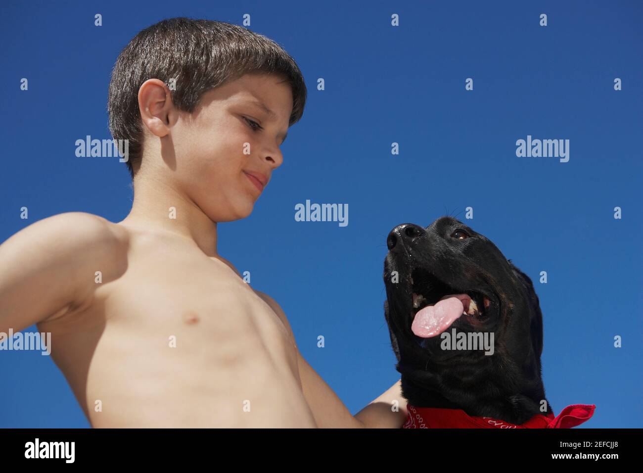 Close up of a boy looking at a dog Stock Photo - Alamy