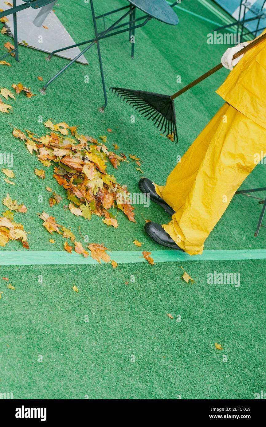 Low section view of a sweeper sweeping dry maple leaves Stock Photo - Alamy