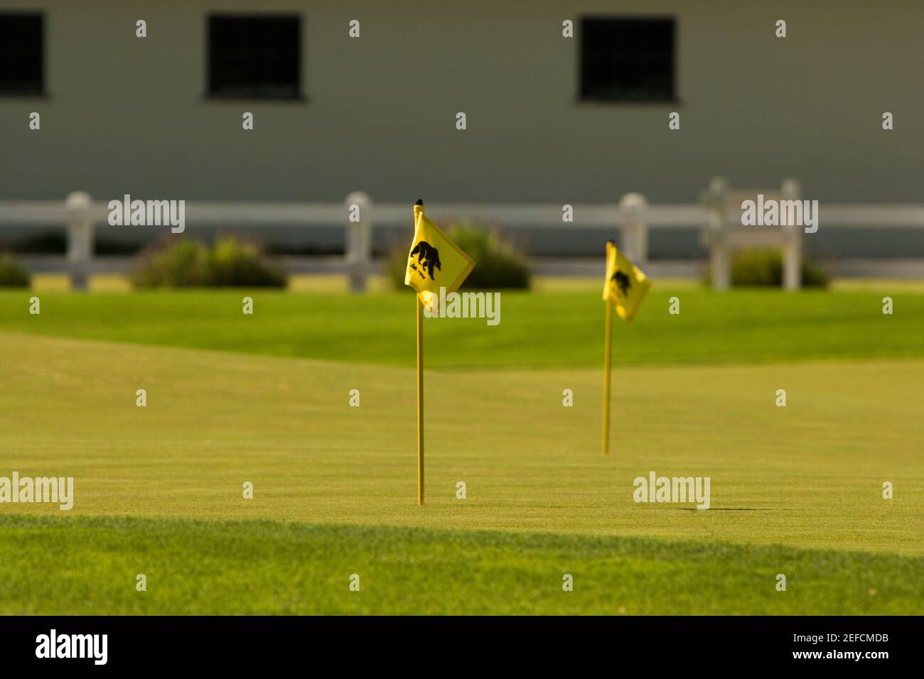 Golf course panoramic flag hi-res stock photography and images - Alamy