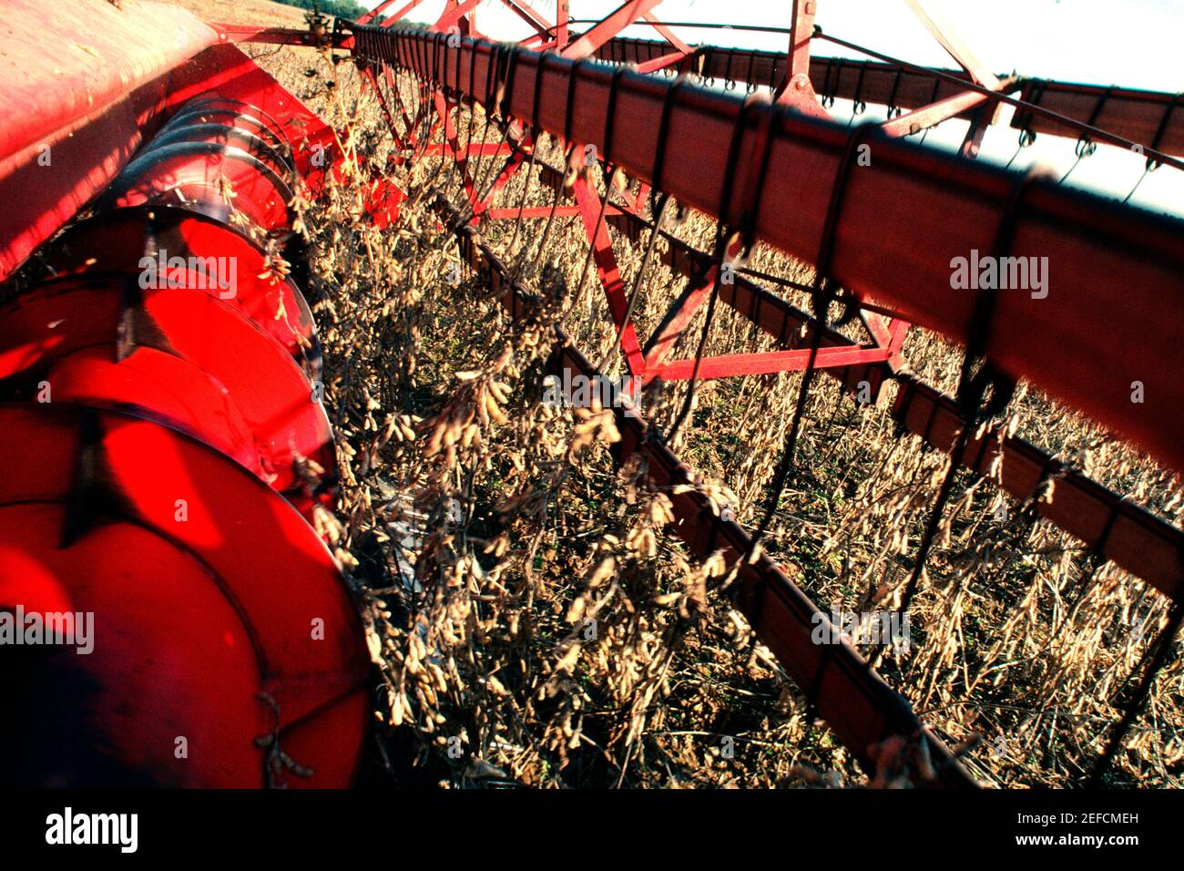 Red thresher hi-res stock photography and images - Alamy