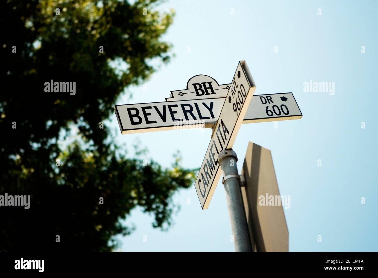 Beverly hills sign tree hi-res stock photography and images - Alamy