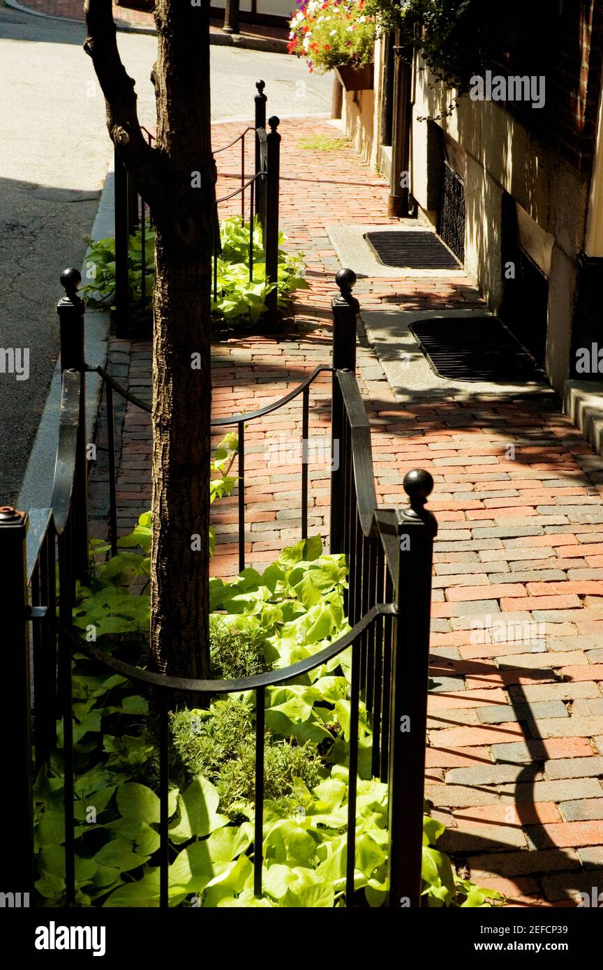 Railing around trees on the sidewalk Stock Photo - Alamy