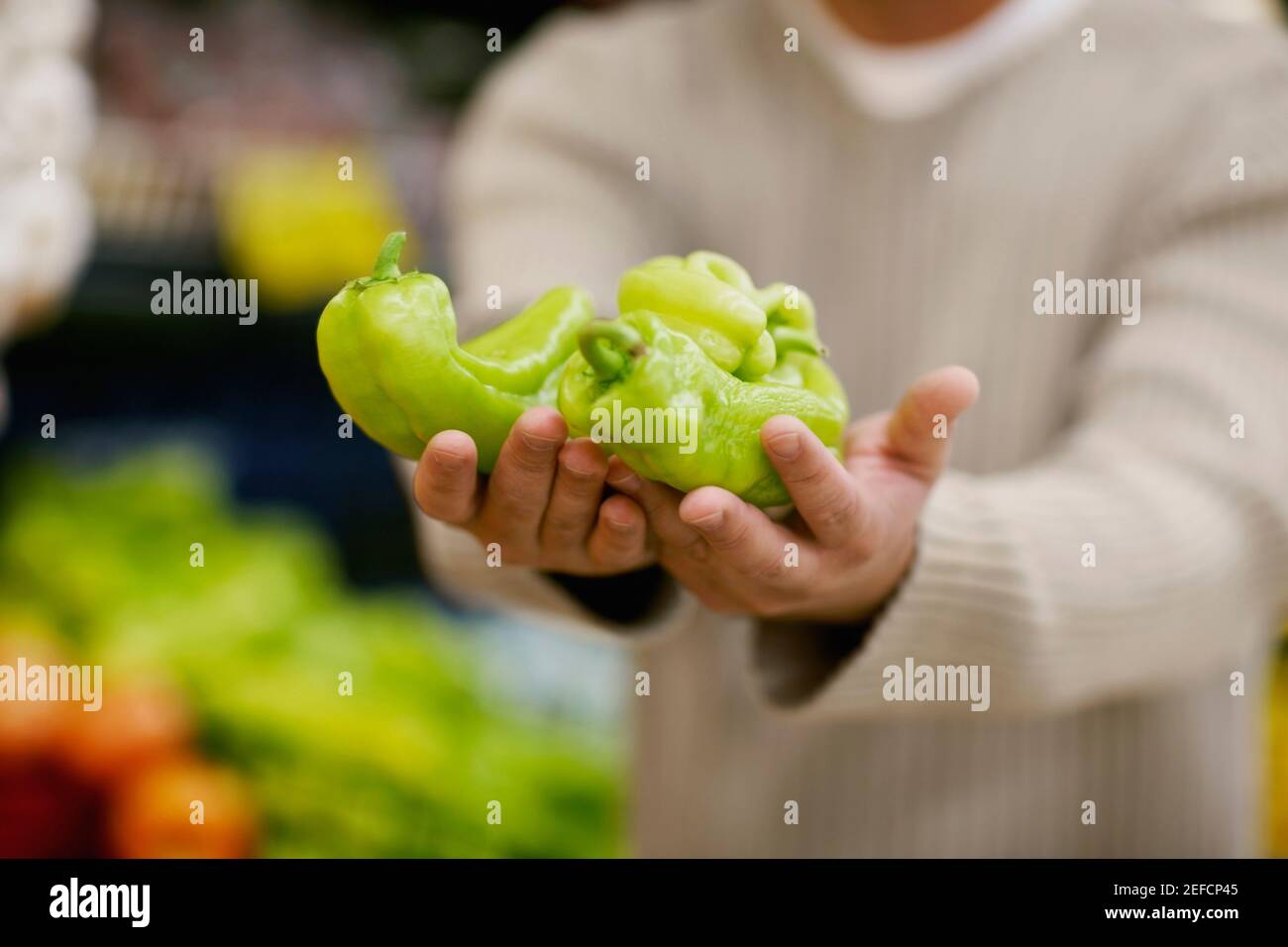 Mid section view of a man holding green bell peppers Stock Photo - Alamy