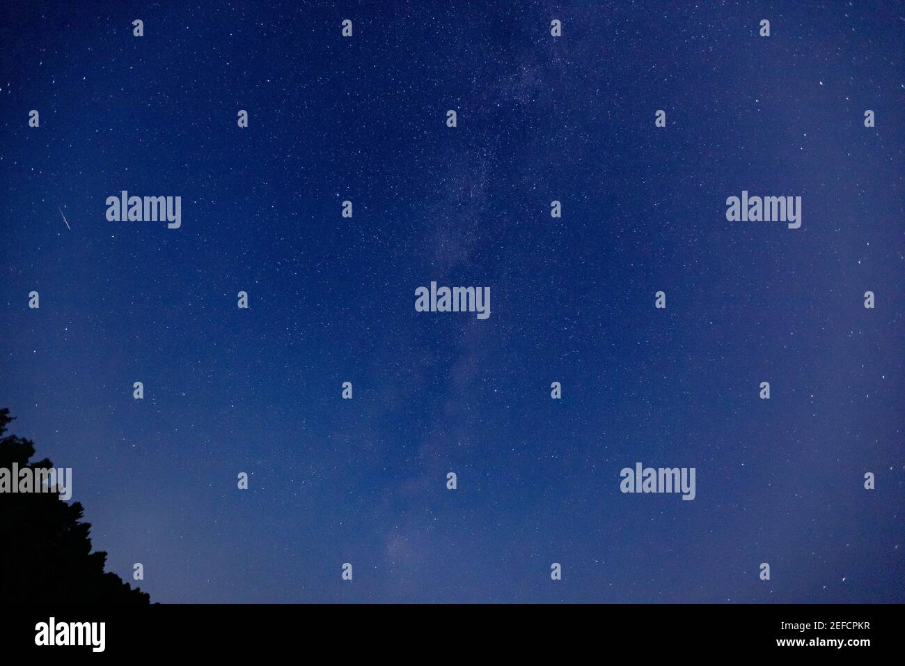 Milky way starry sky with stars over Siberia in Russia Stock Photo - Alamy
