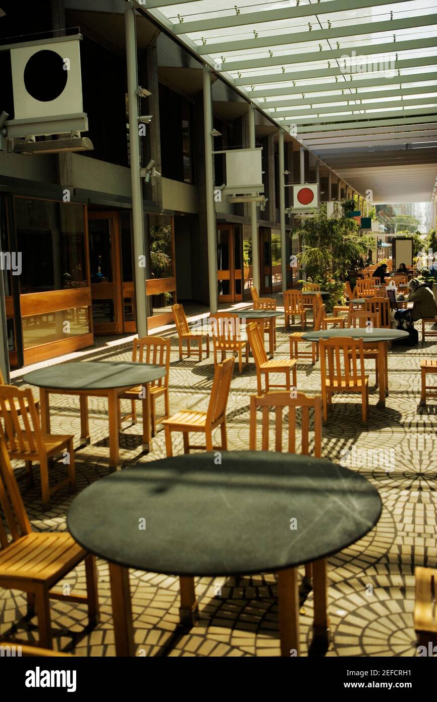 California coffee tree hi-res stock photography and images - Alamy