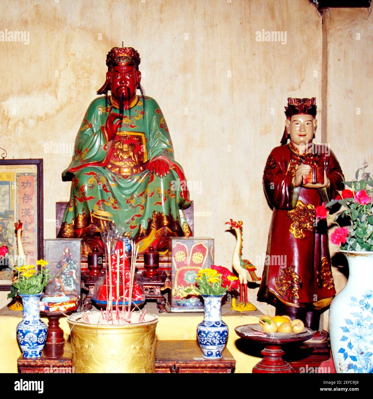 Bird front view picture hi-res stock photography and images - Alamy