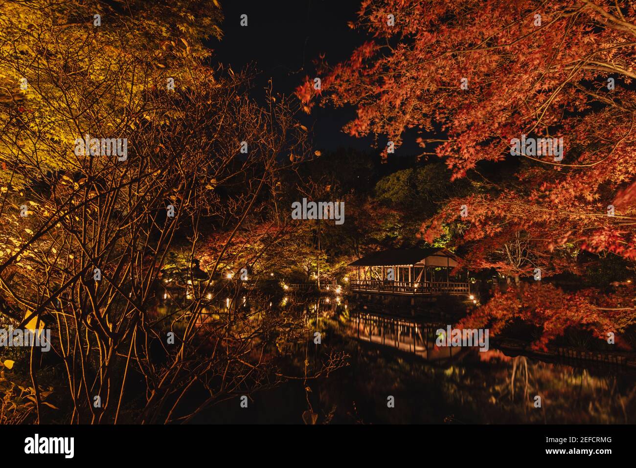 Night view aichi japan hi-res stock photography and images - Alamy